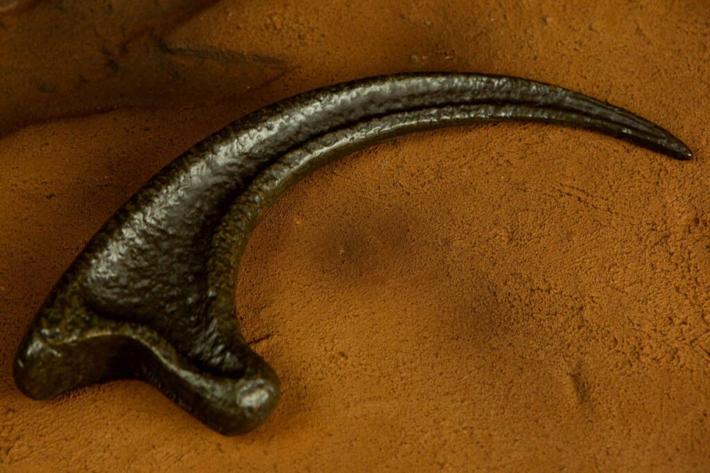 JURASSIC PARK – Raptor Claw By Doctor Collector - Figuristi Store