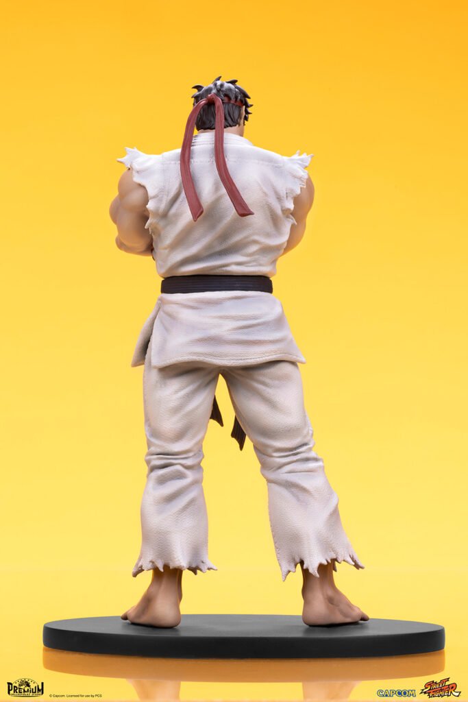 Ryu & Dan Collectible Set – Street Fighter By PCS - Figuristi Store