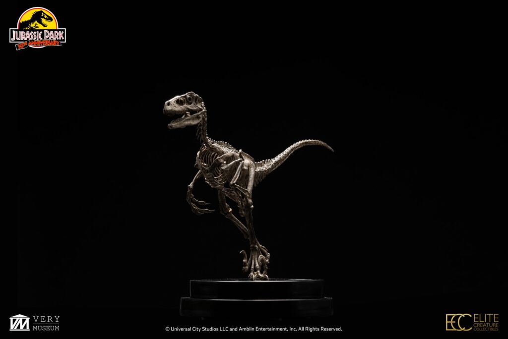 Velociraptor Skeleton Bronze 1:8 Scale Statue By Cinemaquette ...