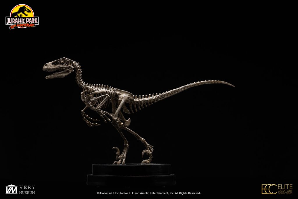 Velociraptor Skeleton Bronze 1:8 Scale Statue By Cinemaquette ...