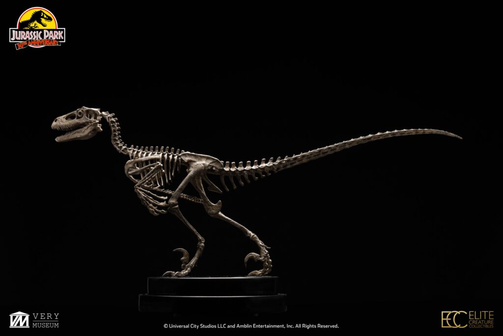 Velociraptor Skeleton Bronze 1:8 Scale Statue By Cinemaquette ...