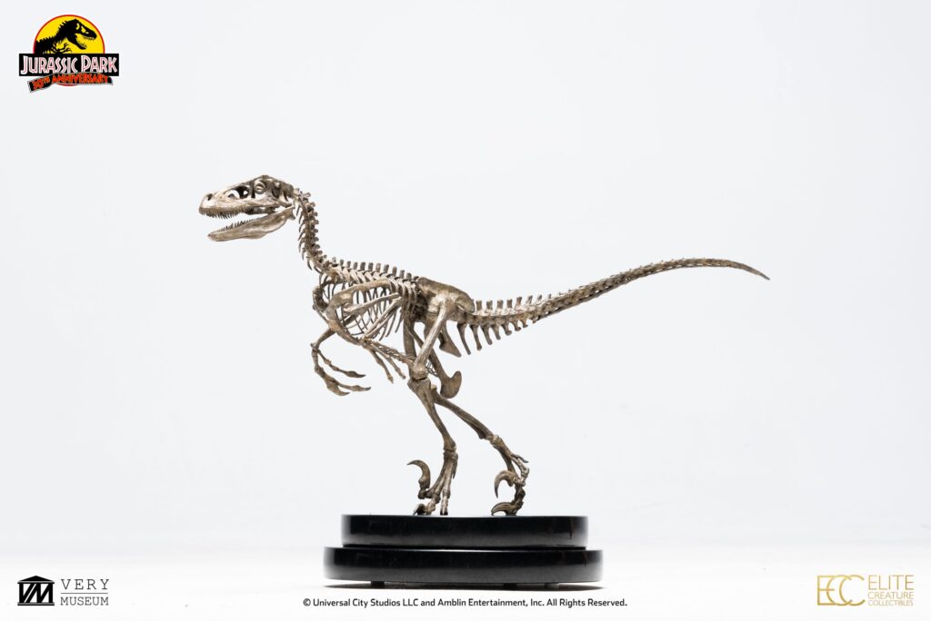Velociraptor Skeleton Bronze 1:8 Scale Statue By Cinemaquette ...