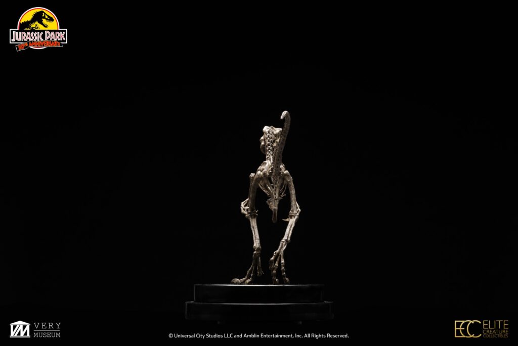 Velociraptor Skeleton Bronze 1:8 Scale Statue By Cinemaquette ...