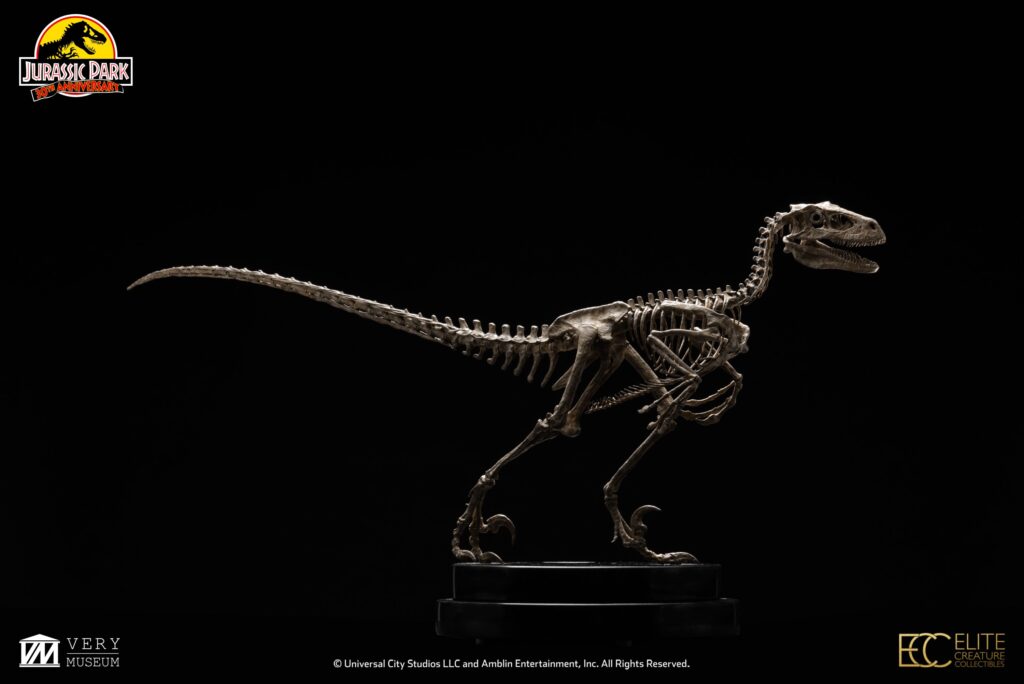 Velociraptor Skeleton Bronze 1:8 Scale Statue By Cinemaquette ...