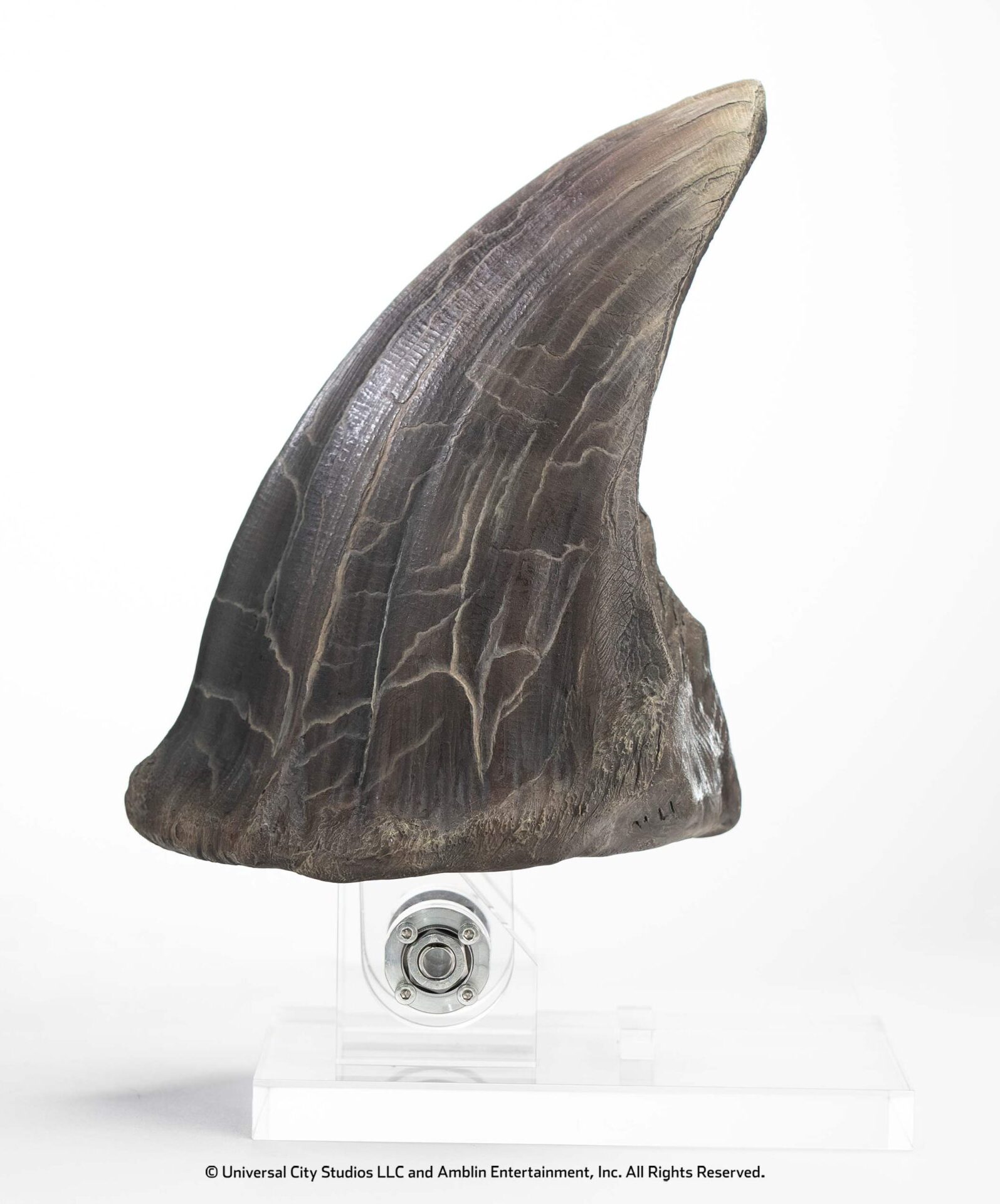 ELITE CREATURE COLLECTIBLE PRESENTS: Screen Used T-Rex Foot Claw ...