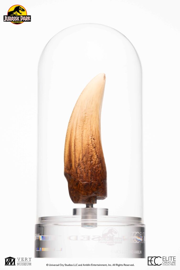 ELITE CREATURE COLLECTIBLE PRESENTS: Screen Used T-Rex Tooth ...