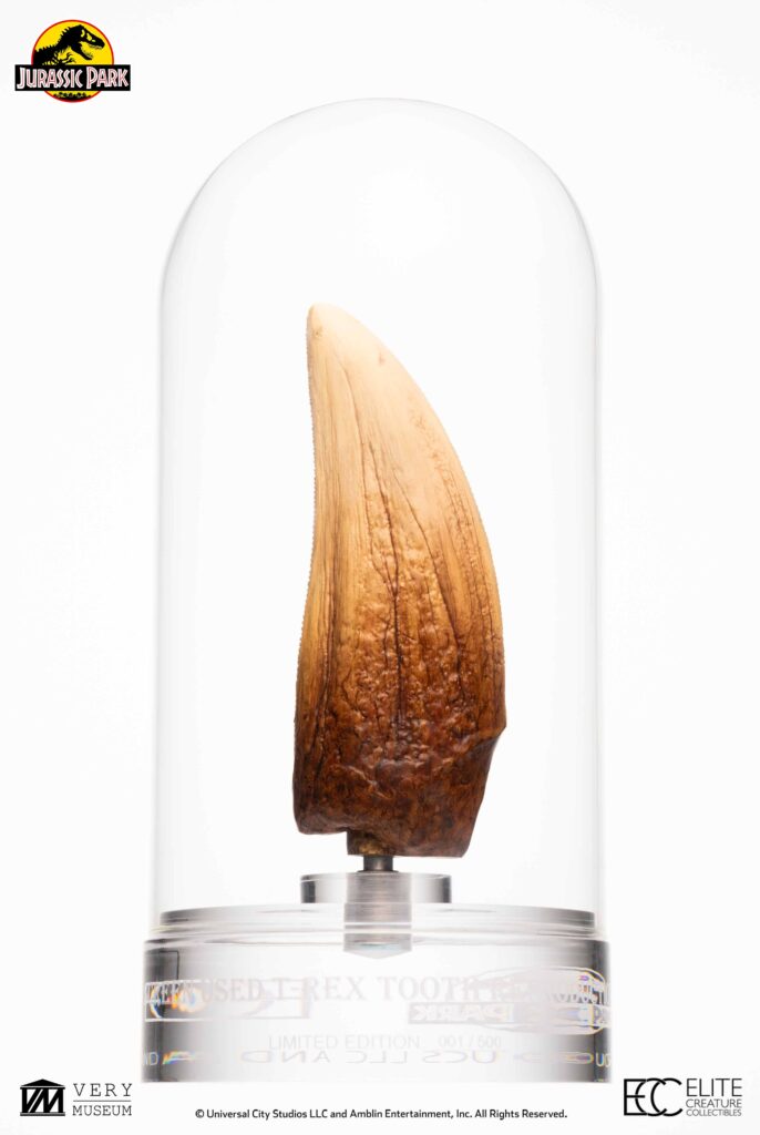 ELITE CREATURE COLLECTIBLE PRESENTS: Screen Used T-Rex Tooth ...