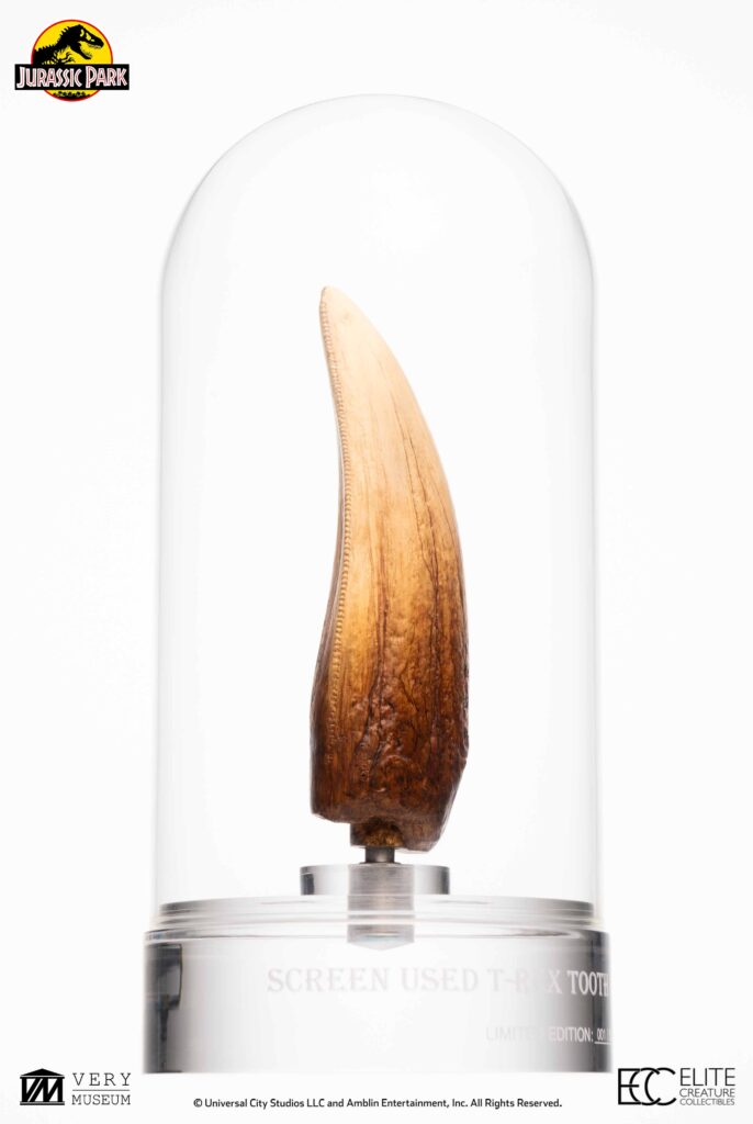 ELITE CREATURE COLLECTIBLE PRESENTS: Screen Used T-Rex Tooth ...