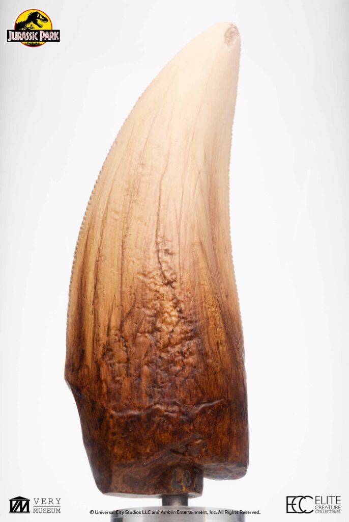 ELITE CREATURE COLLECTIBLE PRESENTS: Screen Used T-Rex Tooth ...