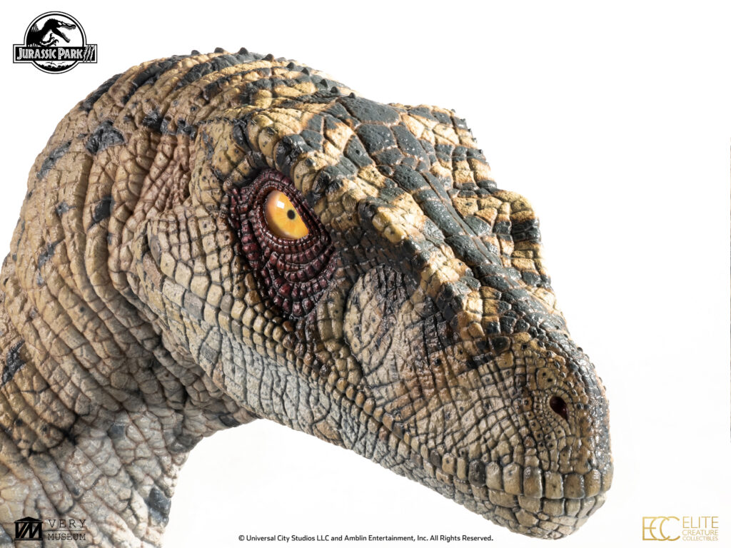 ELITE CREATURE COLLECTIBLES PRESENTS: Jurassic Park III: Female ...